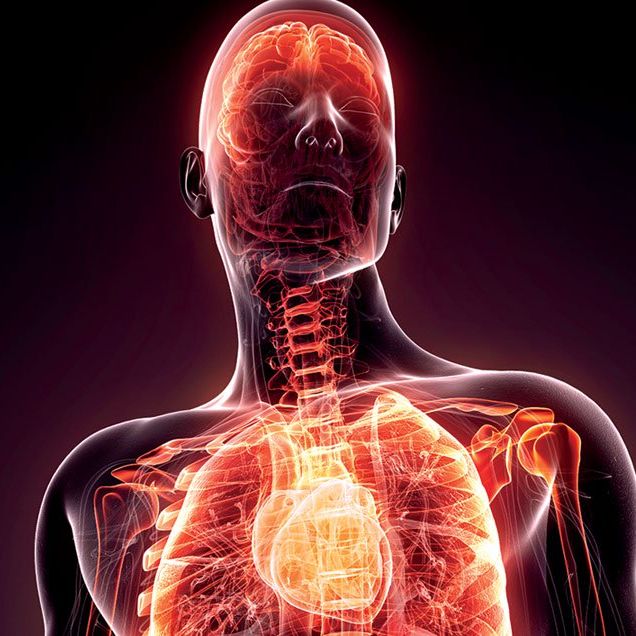 4 cardinal signs inflammation - redness, heat, edema, pain